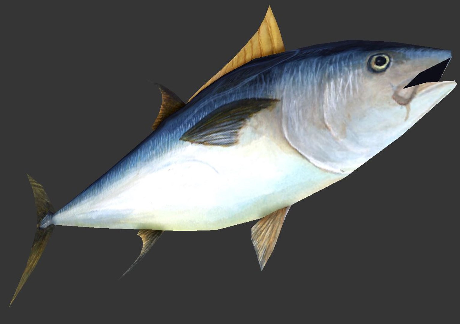Free 3D Atlantic Bluefin - TurboSquid 1416066