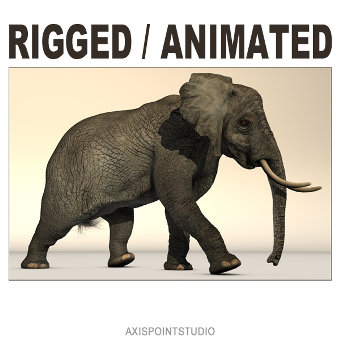Rigged African Elephant 3d C4d