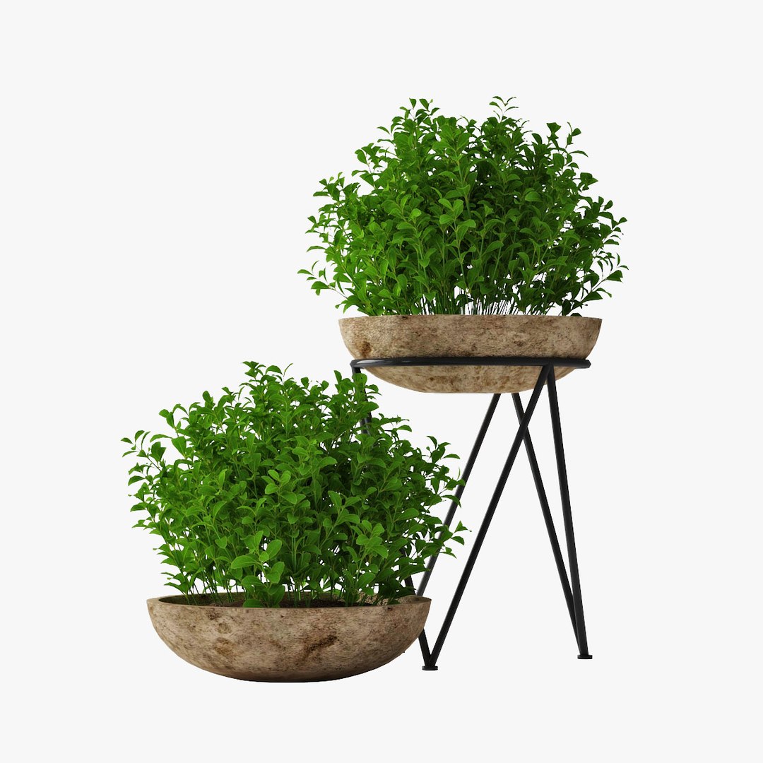 Small plant pot 3D model - TurboSquid 1192351