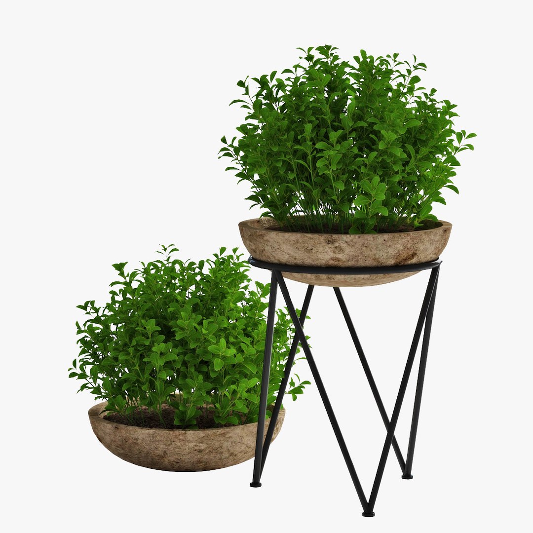 Small plant pot 3D model - TurboSquid 1192351