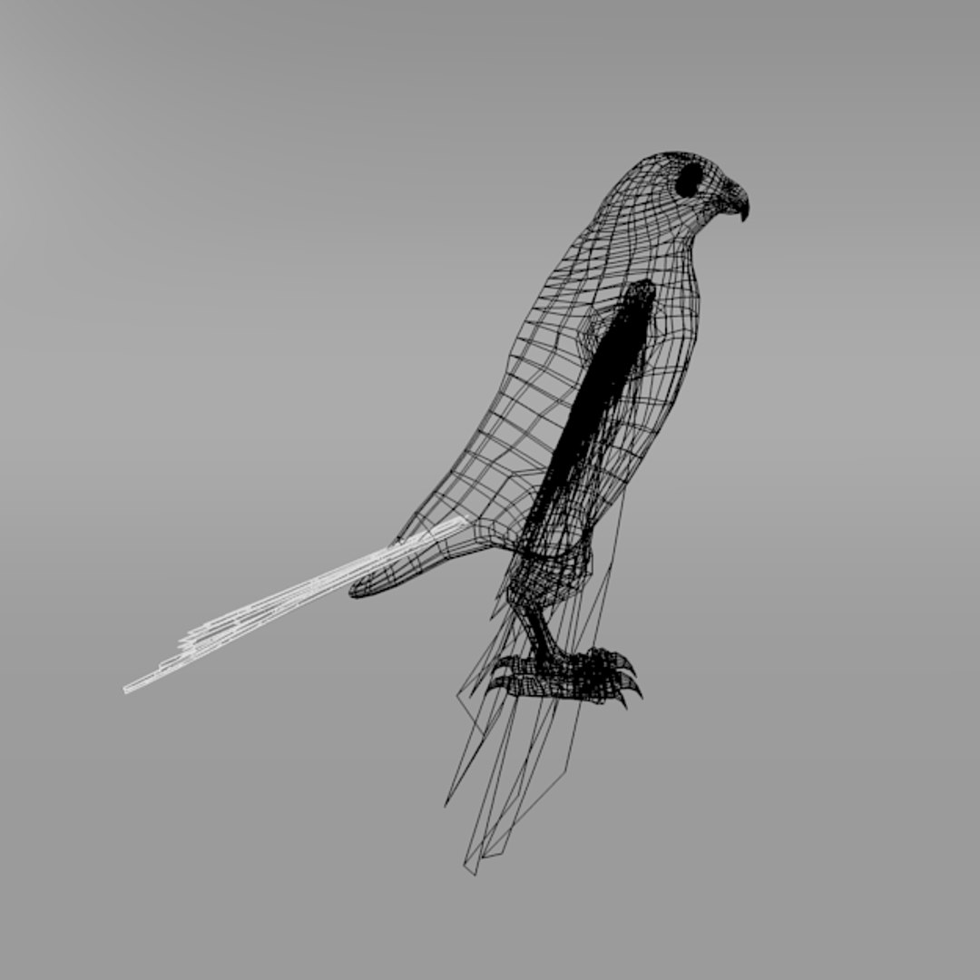 Falcon 3D - TurboSquid 1316773