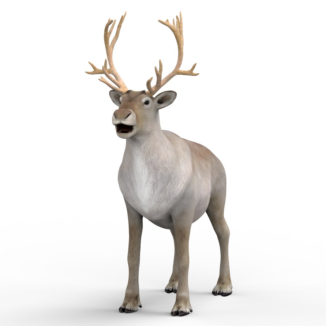 Reindeer Materials Pbr 3D Model - TurboSquid 1615817