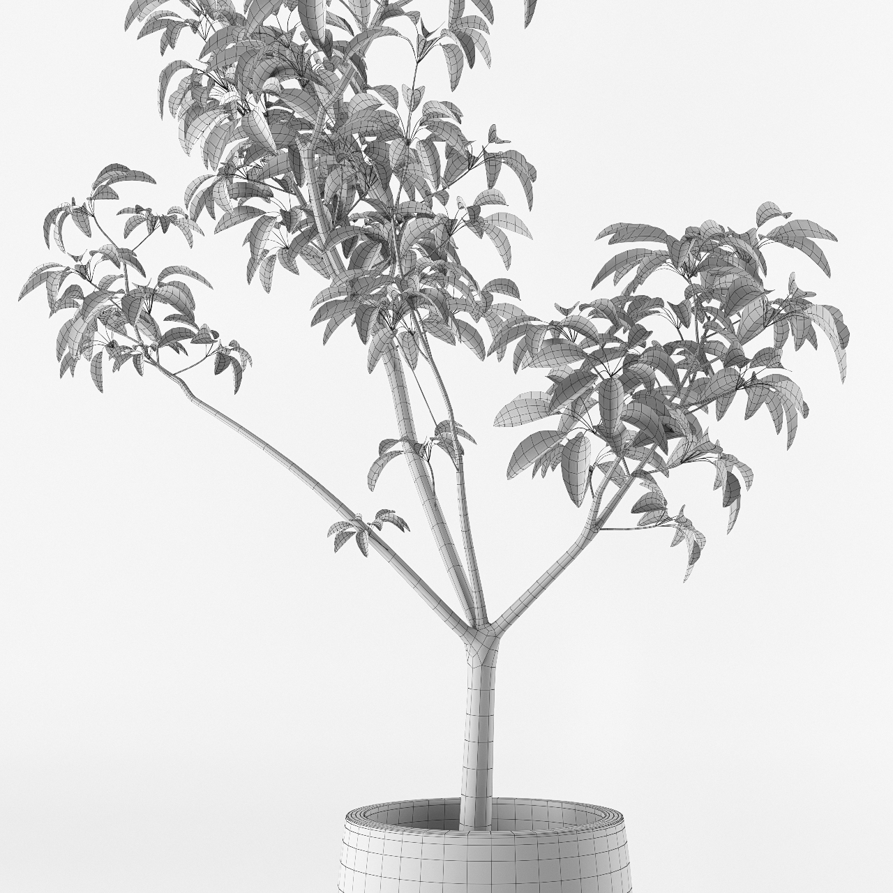 Pot tree 3D model - TurboSquid 1226906
