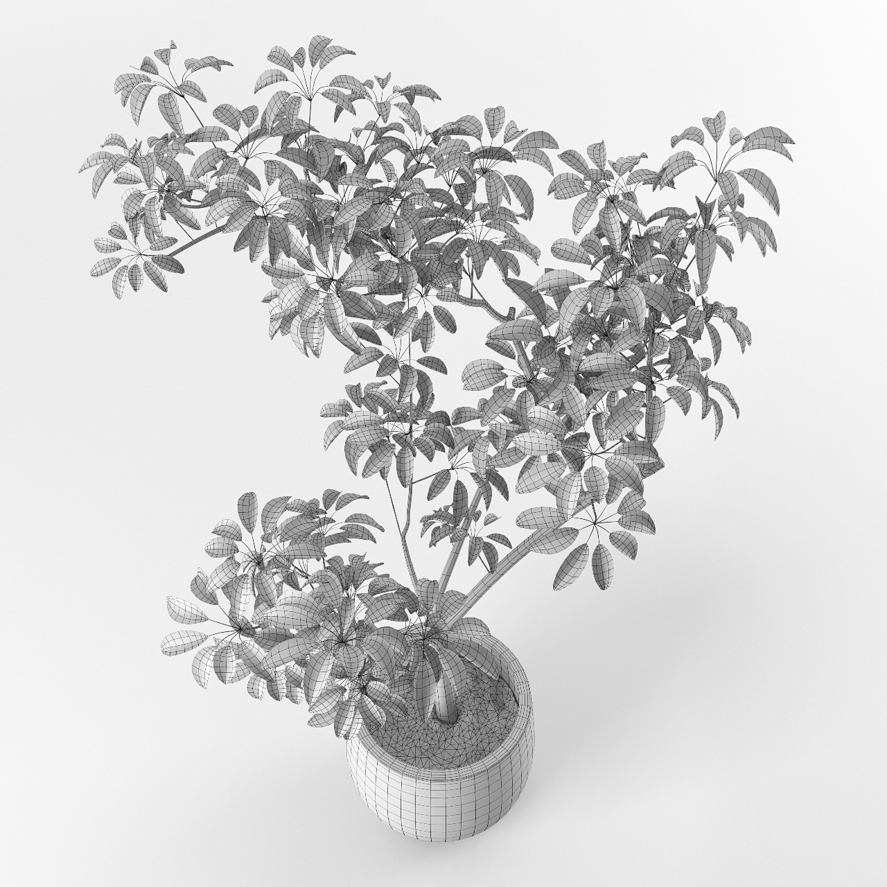 Pot tree 3D model - TurboSquid 1226906