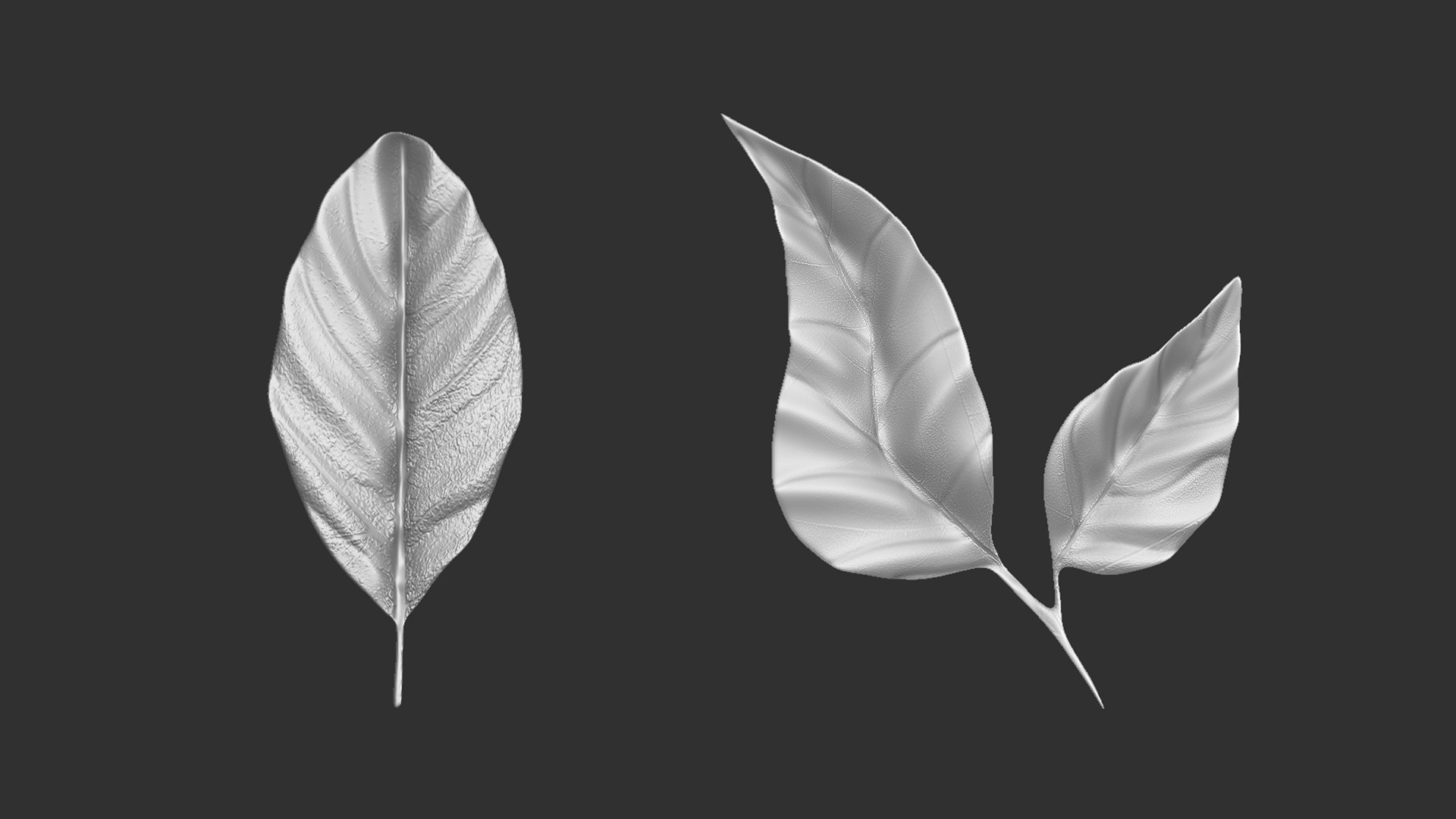 14 High-poly Leafs And Branches Zbrush IMM Brush Set 3D - TurboSquid ...