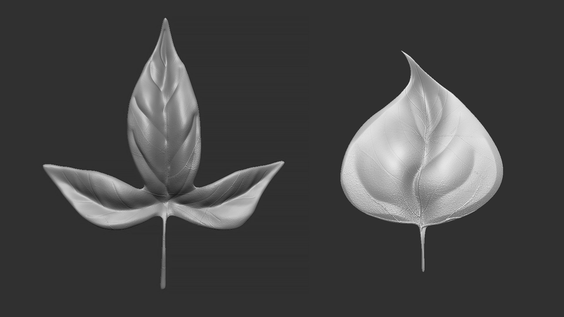 14 High-poly Leafs And Branches Zbrush IMM Brush Set 3D - TurboSquid 1937152