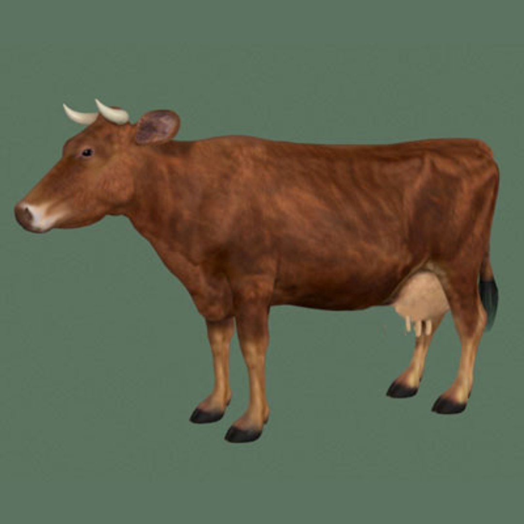 3d Mammal Cow Pzcow 3t Model