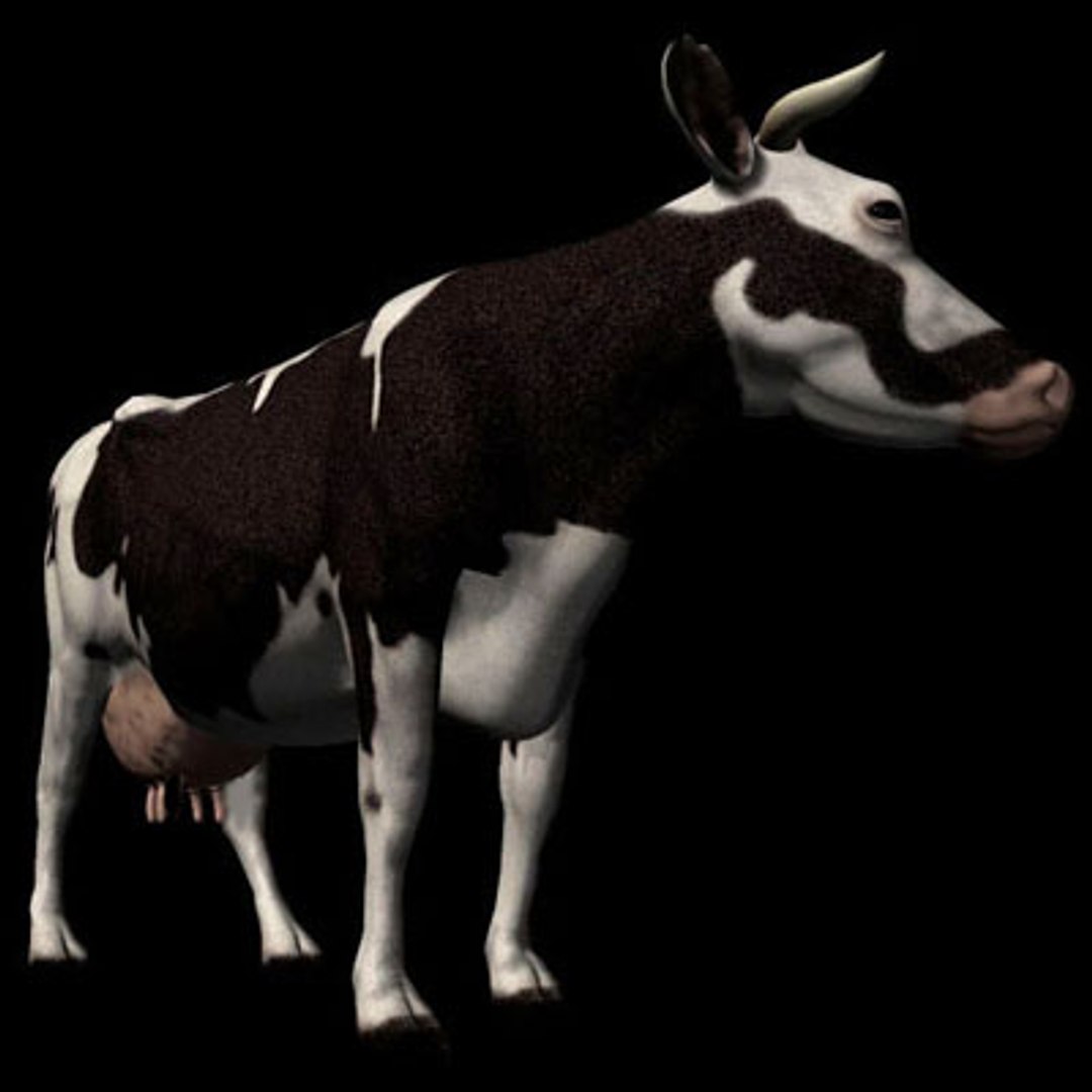 3d Mammal Cow Pzcow 3t Model