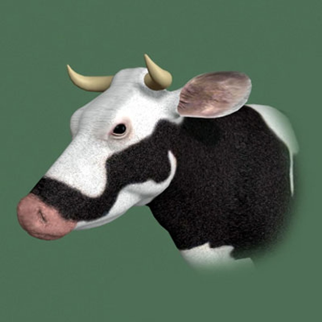 3d Mammal Cow Pzcow 3t Model