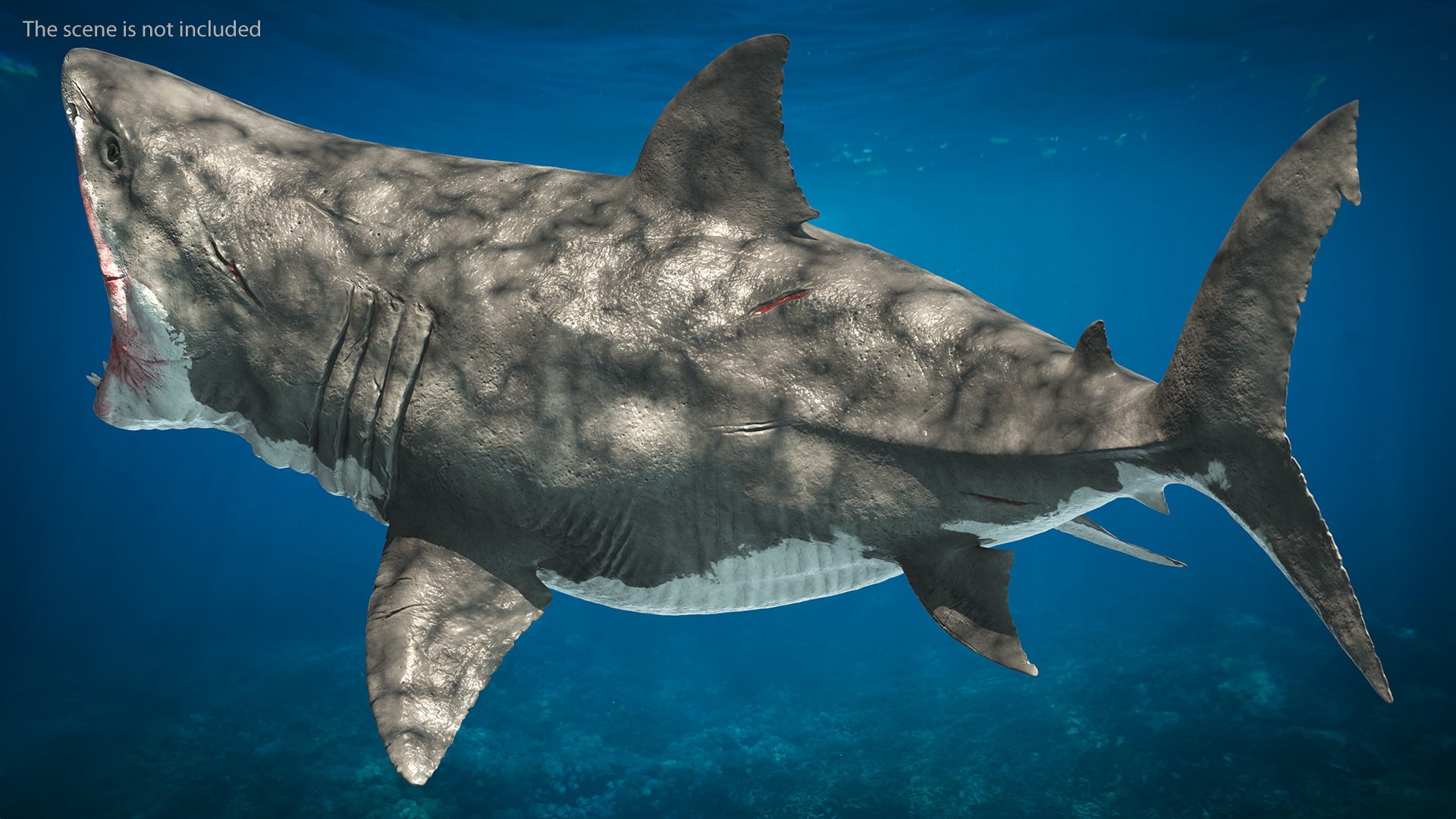Megalodon Aggressive Pose Model - TurboSquid 1753403