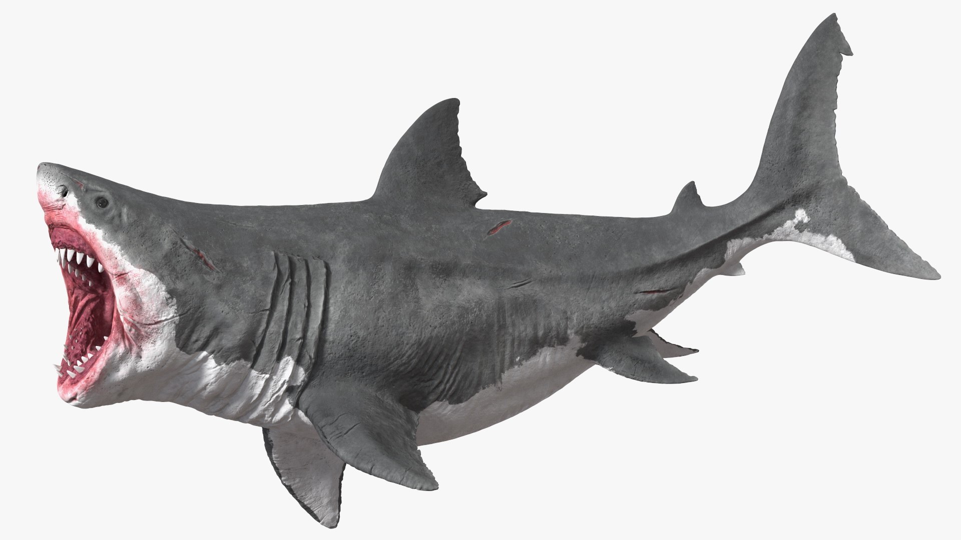 Megalodon Aggressive Pose Model - TurboSquid 1753403