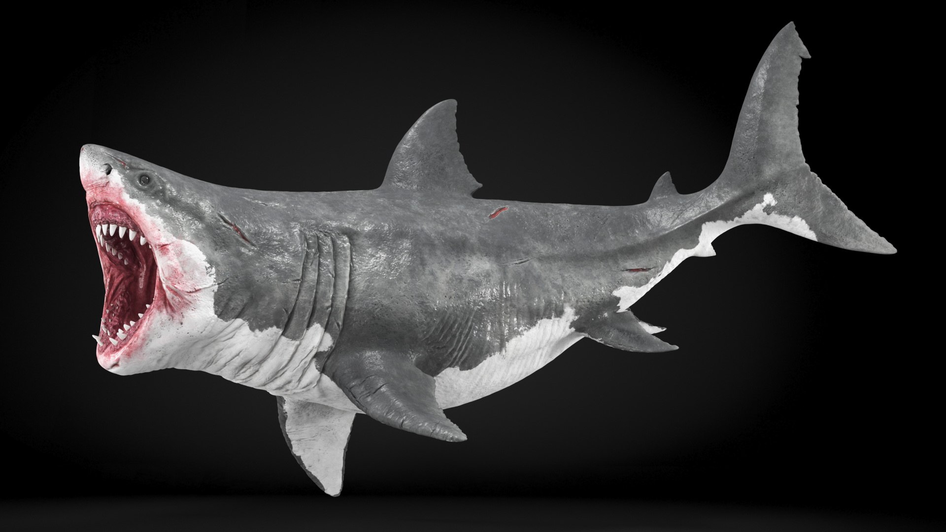 Megalodon Aggressive Pose Model - TurboSquid 1753403