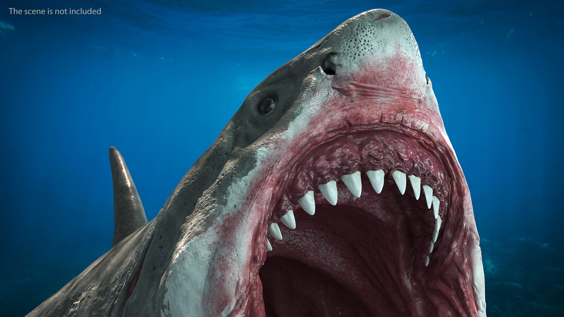 Megalodon Aggressive Pose Model - TurboSquid 1753403