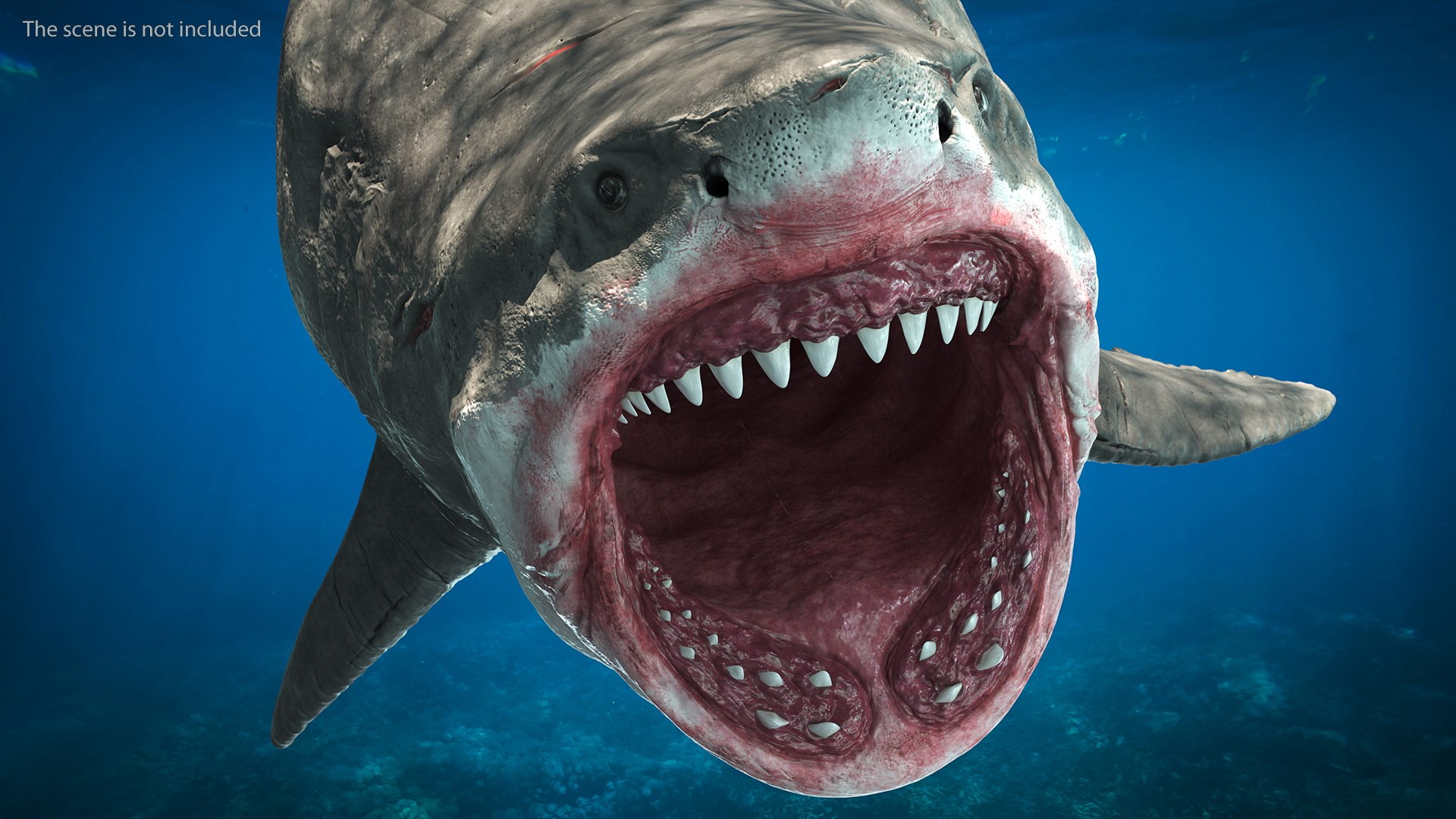 Megalodon Aggressive Pose Model - TurboSquid 1753403