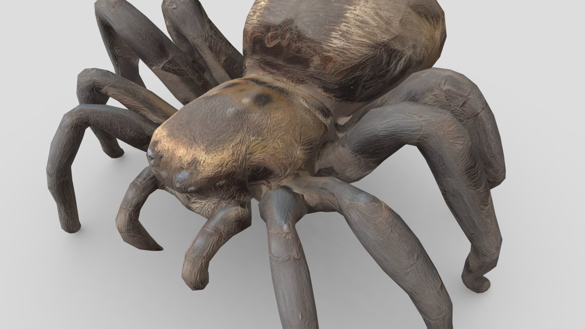 Tarantula 3D Model - TurboSquid 2275982