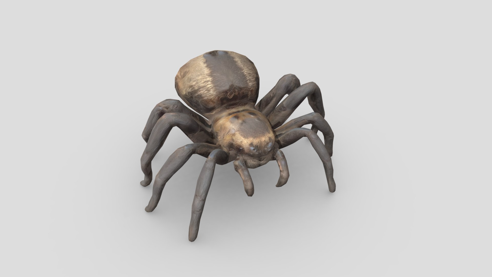 Tarantula 3D Model - TurboSquid 2275982