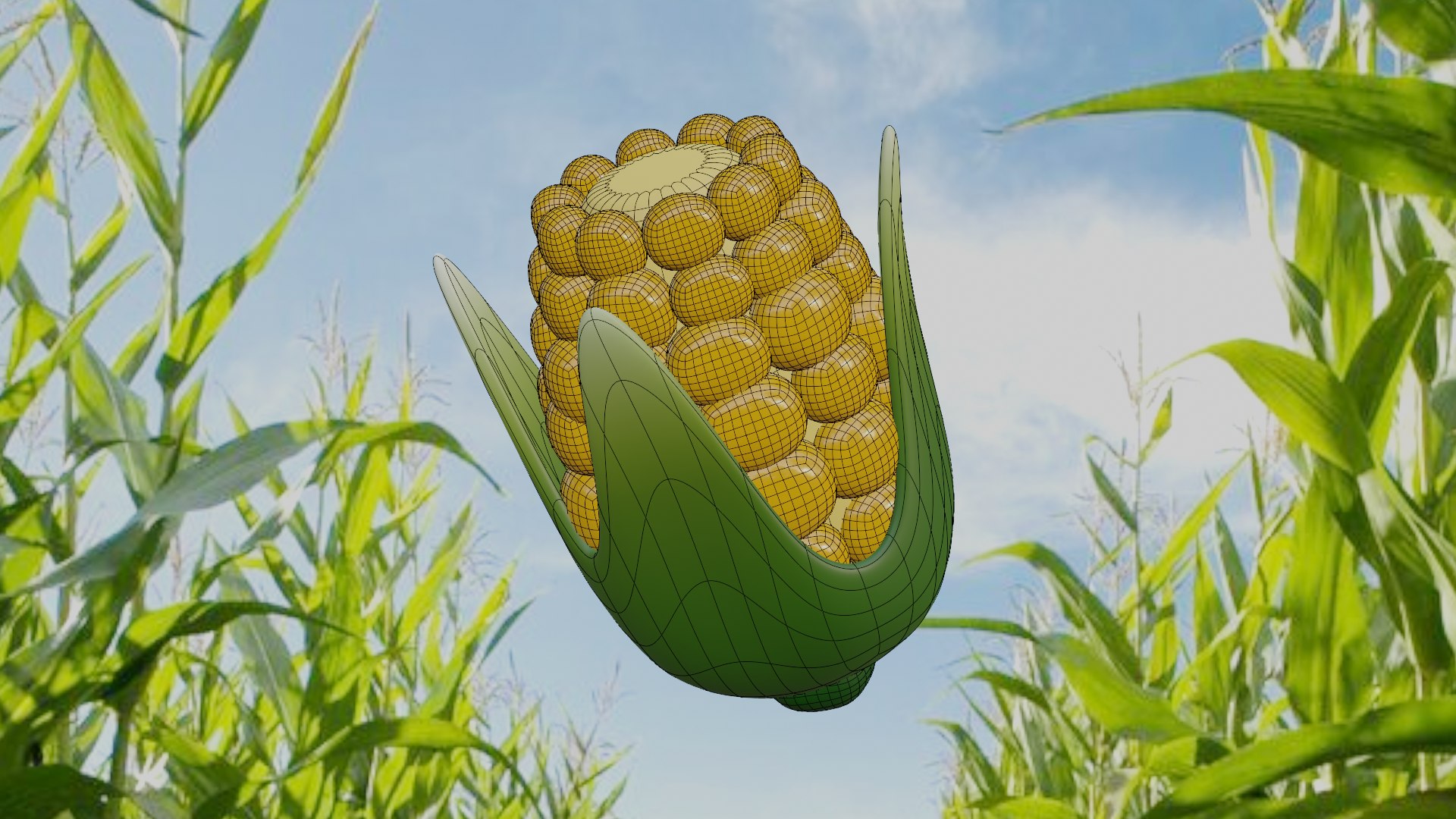 3D model Corn Scene - TurboSquid 2112619