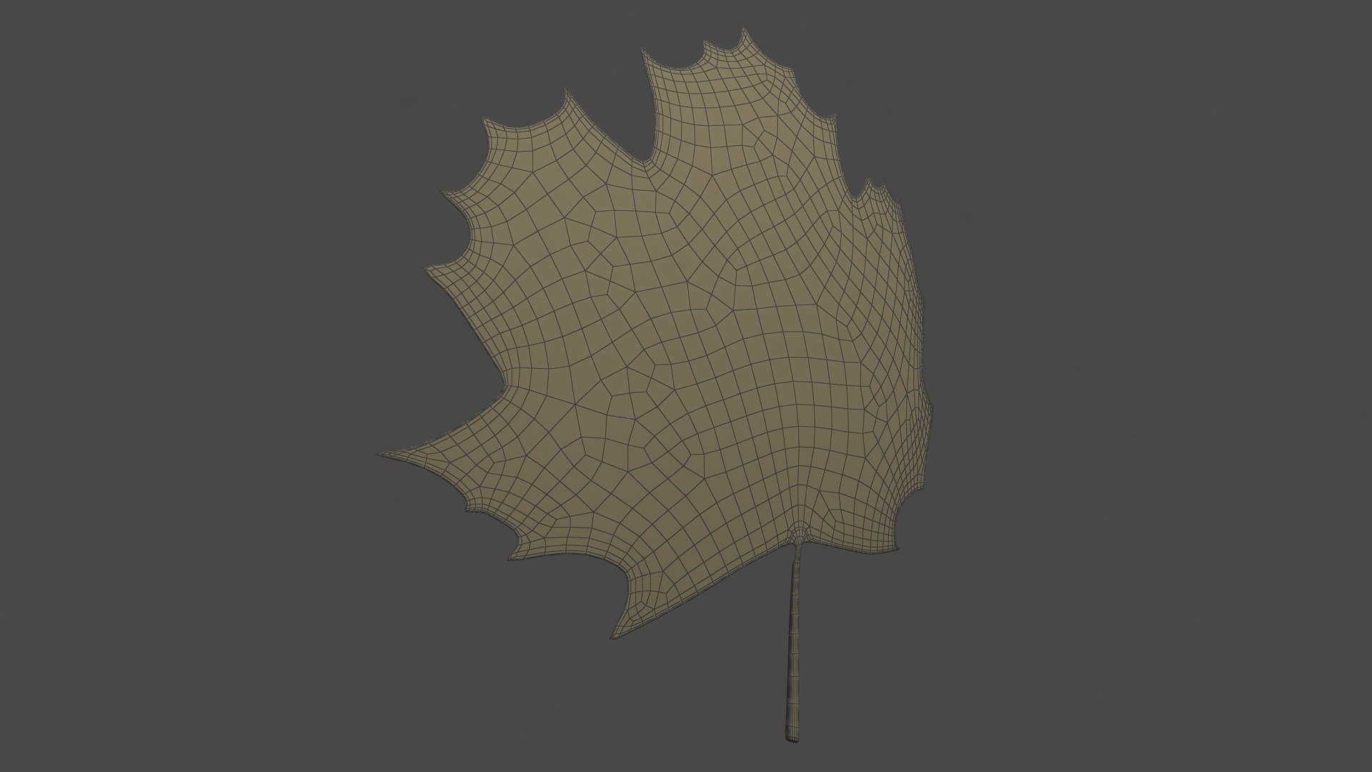 Maple Leaf Model - TurboSquid 2039367