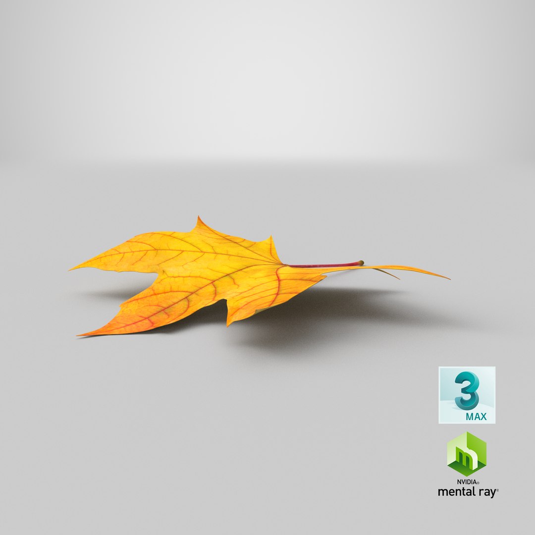 3D Maple Leaf V2 - TurboSquid 1784728