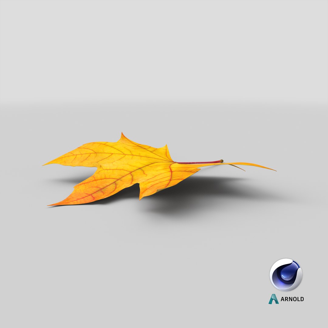 3D Maple Leaf V2 - TurboSquid 1784728