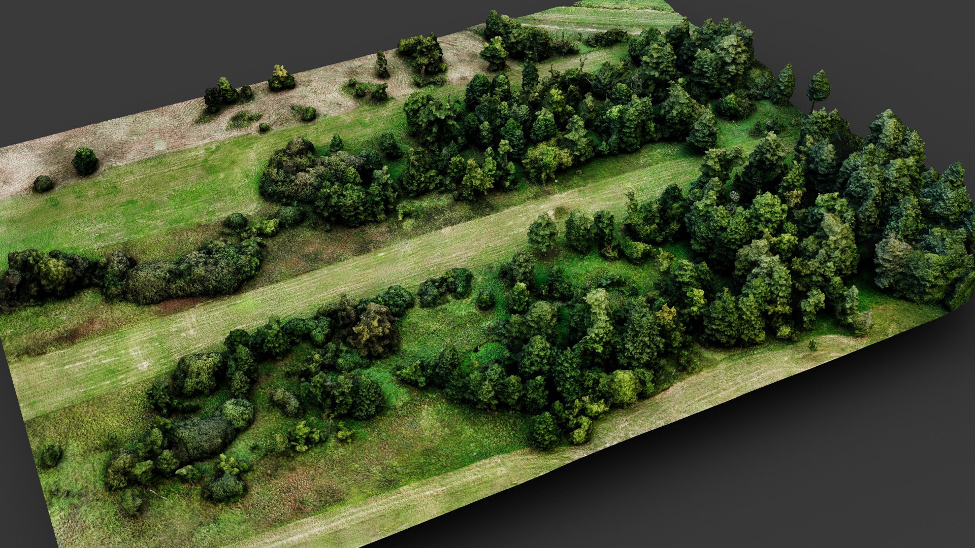 Trees Terrain Forest Fields Landscape Dronescan Part1 Model ...