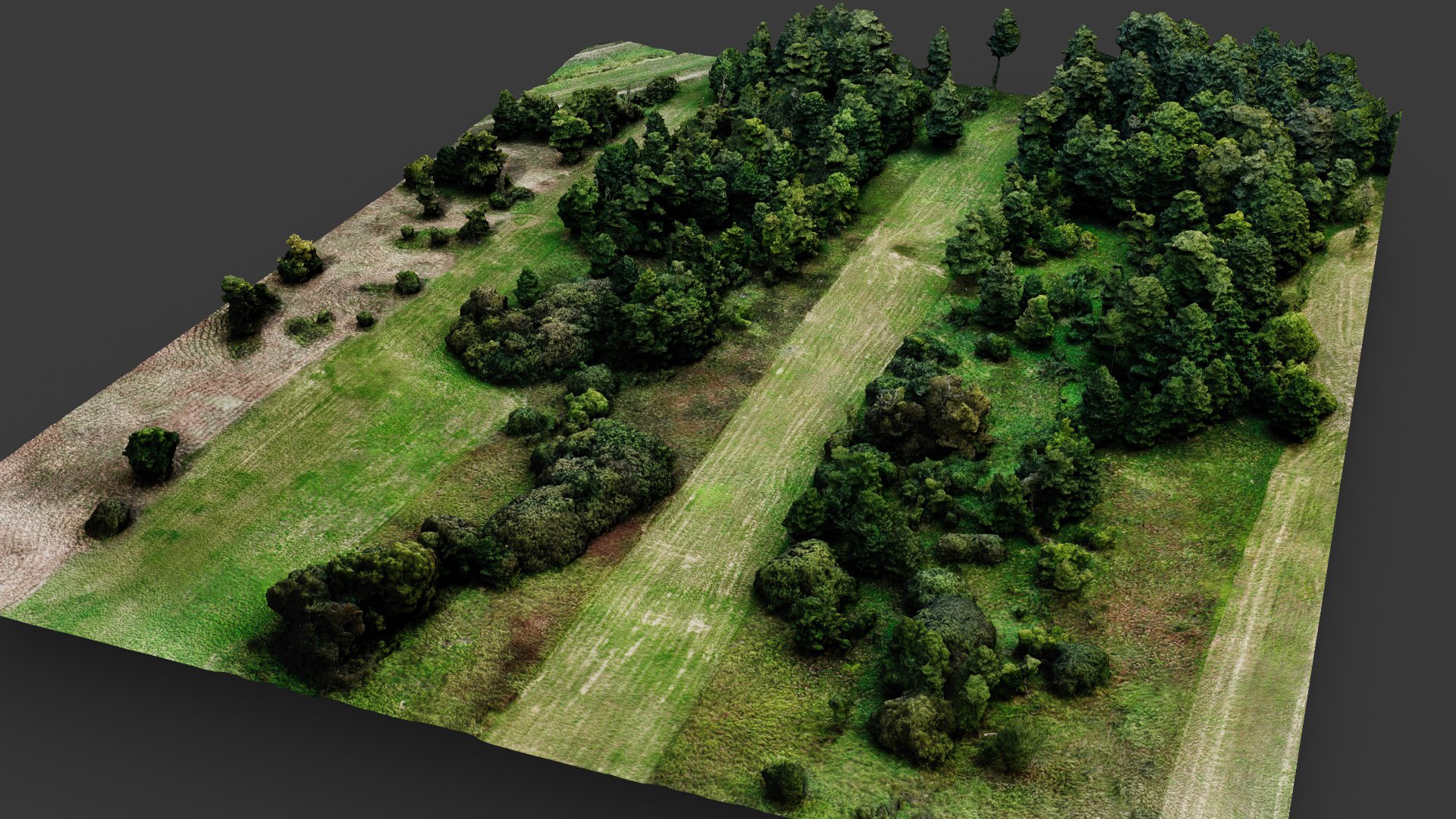 Trees Terrain Forest Fields Landscape Dronescan Part1 Model ...