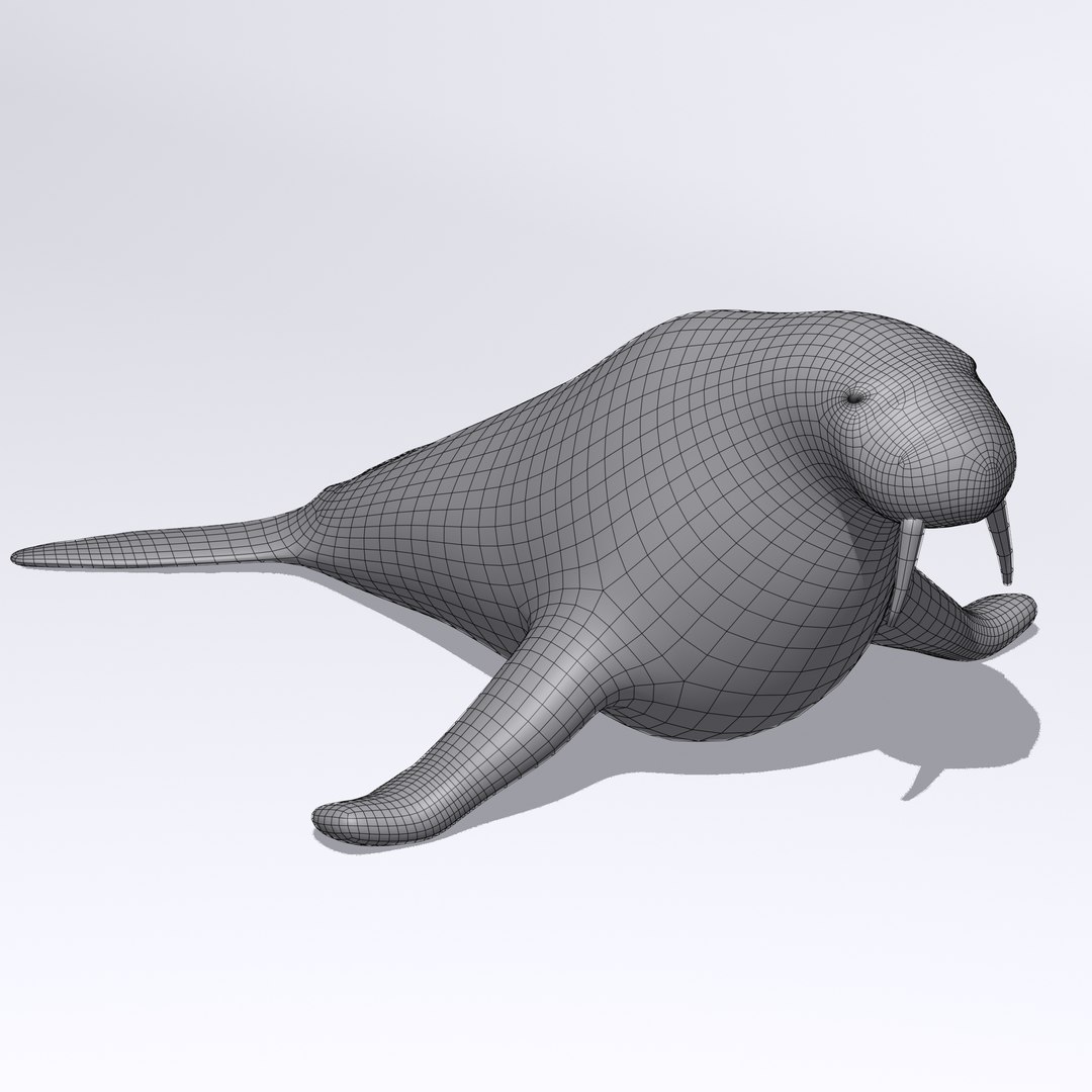 3D Model Walrus - TurboSquid 1217907