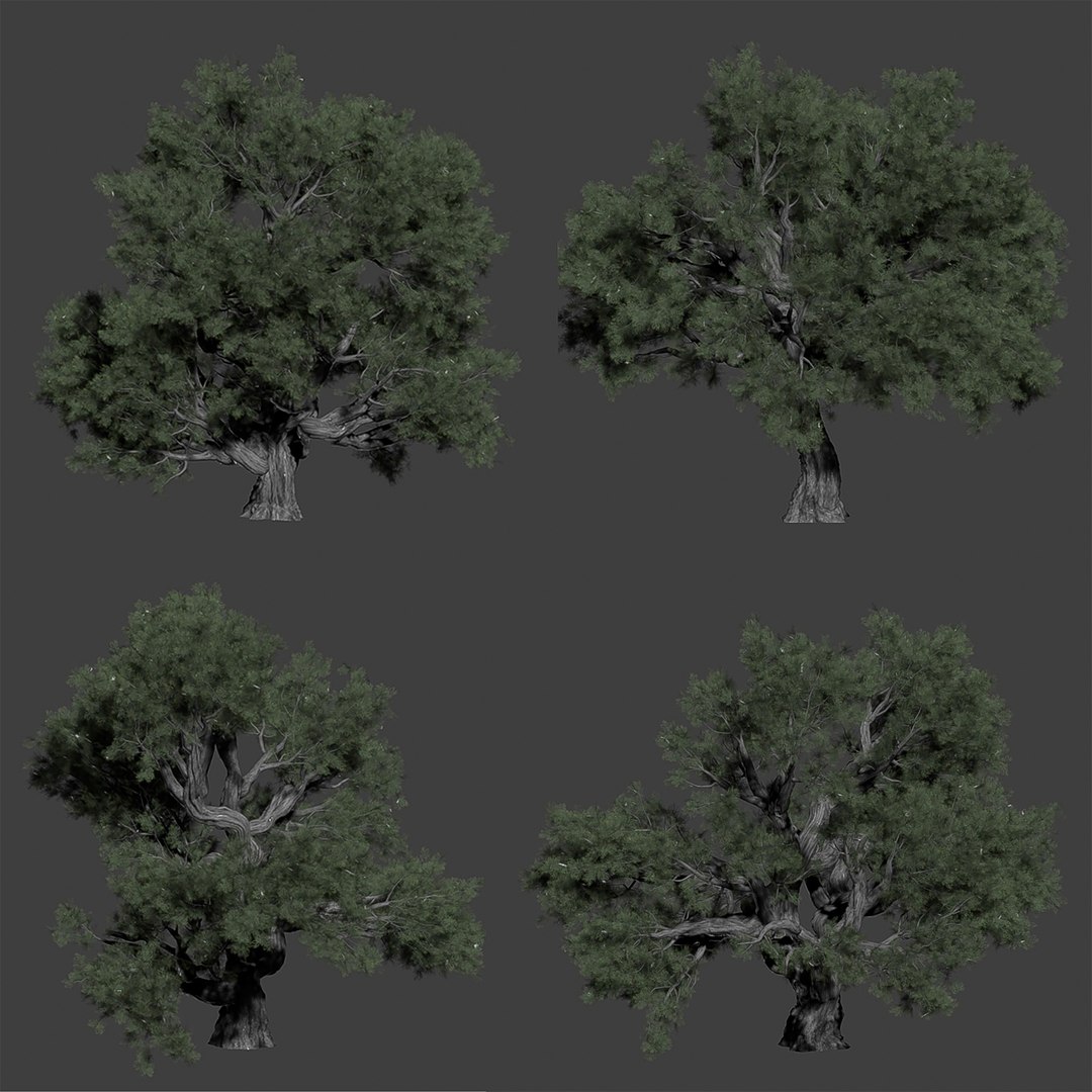Juniper Trees Collection Vol 213 Model - TurboSquid 2073435