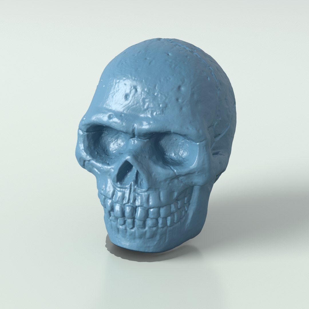 3D Skull Model - TurboSquid 2217746