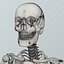Realistic Human Skeletal Bones 3d Model