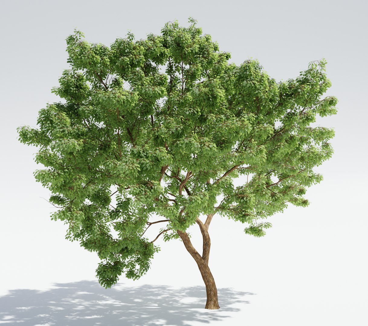 Tree 3D - TurboSquid 1611265