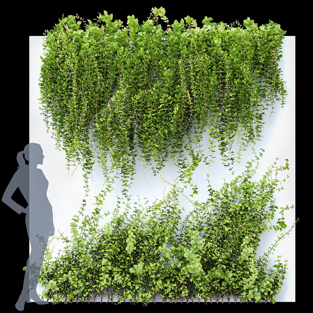 3D Model Wall Artificial Hanging Plants 01 - TurboSquid 2242803