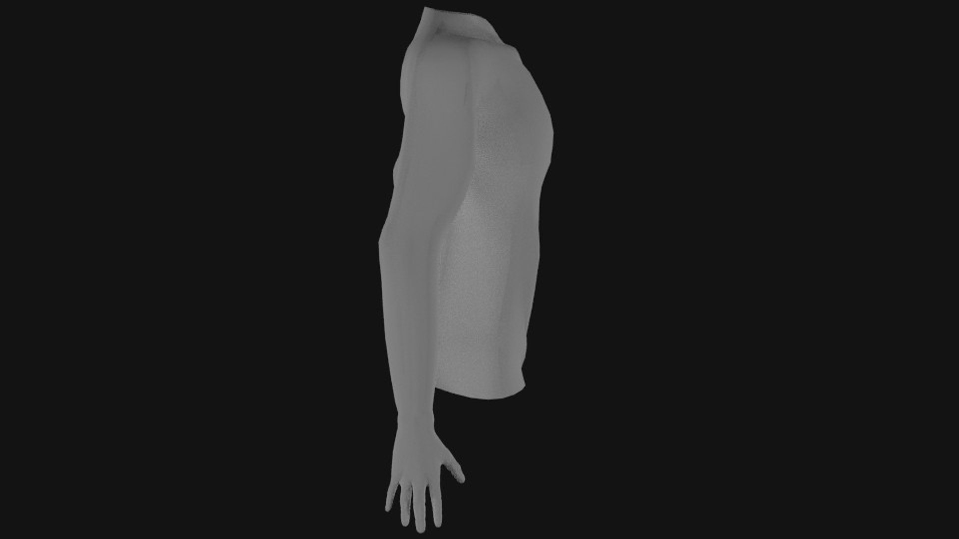 Free Basemesh Human-body Arms Hands 3d Model