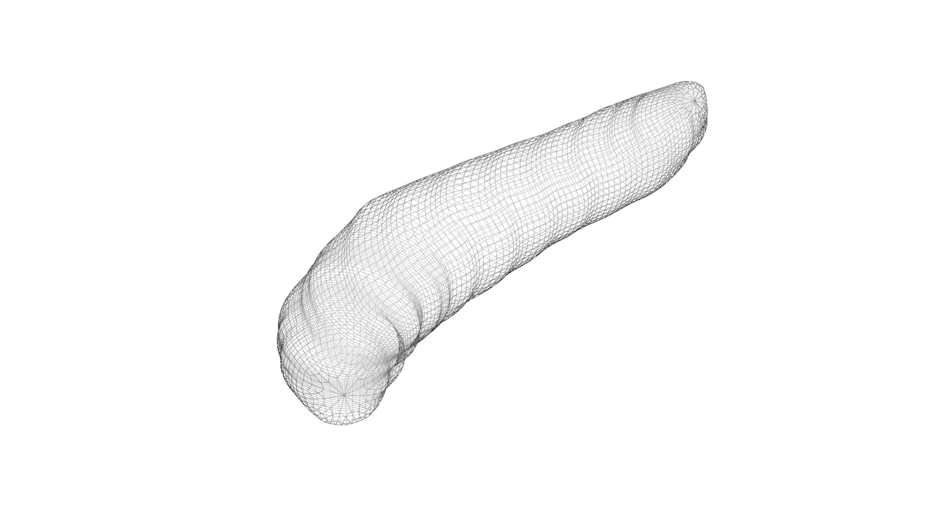 3D Model Pinworm Enterobius Vermicularis - TurboSquid 1843869