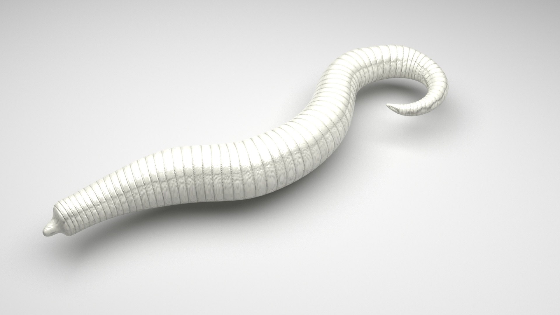3D model Pinworm Enterobius Vermicularis - TurboSquid 1843869