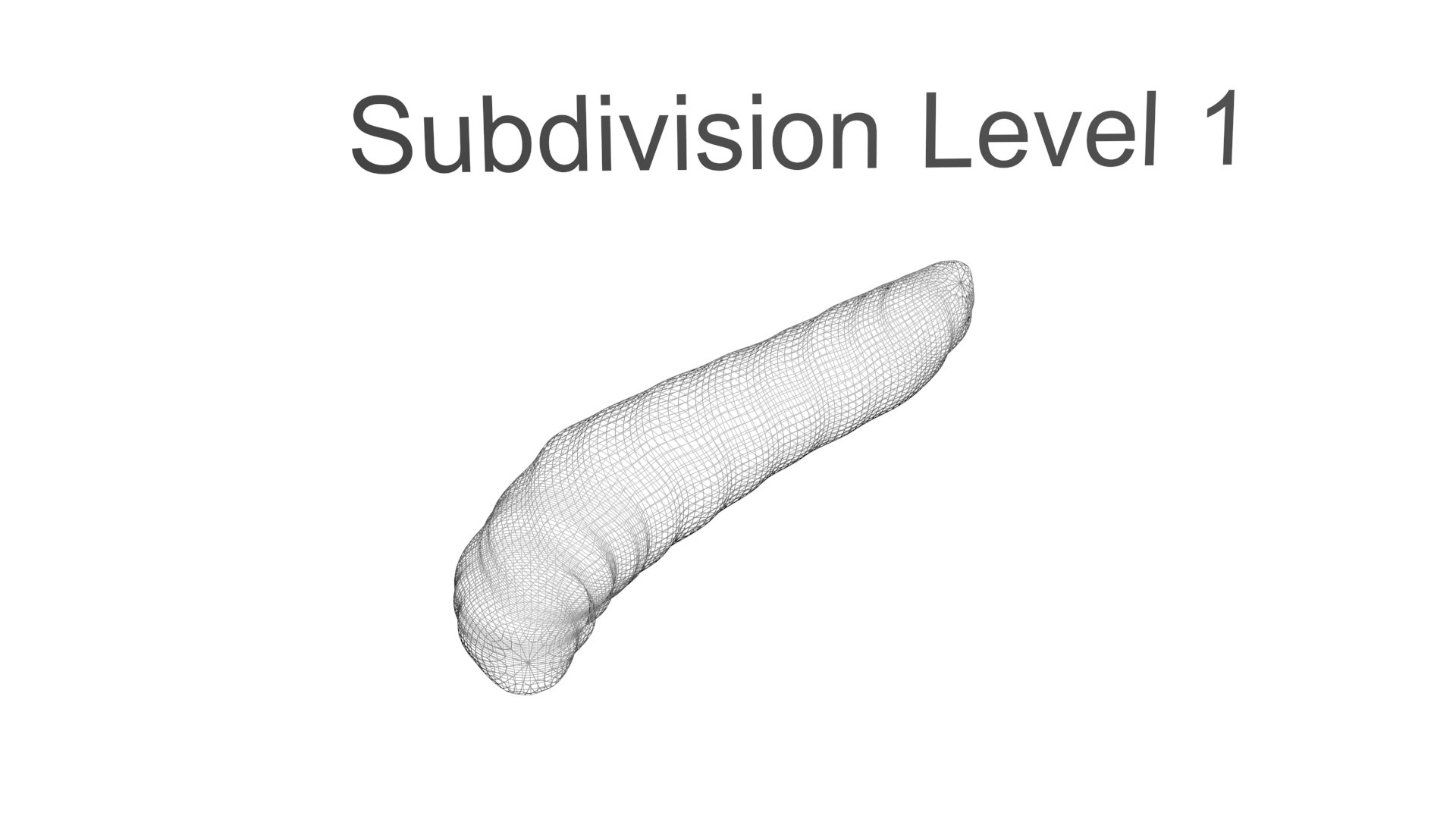 3D Model Pinworm Enterobius Vermicularis - TurboSquid 1843869