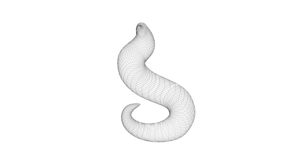 요충류 Enterobius Vermicularis 3D 모델 - TurboSquid 1843869