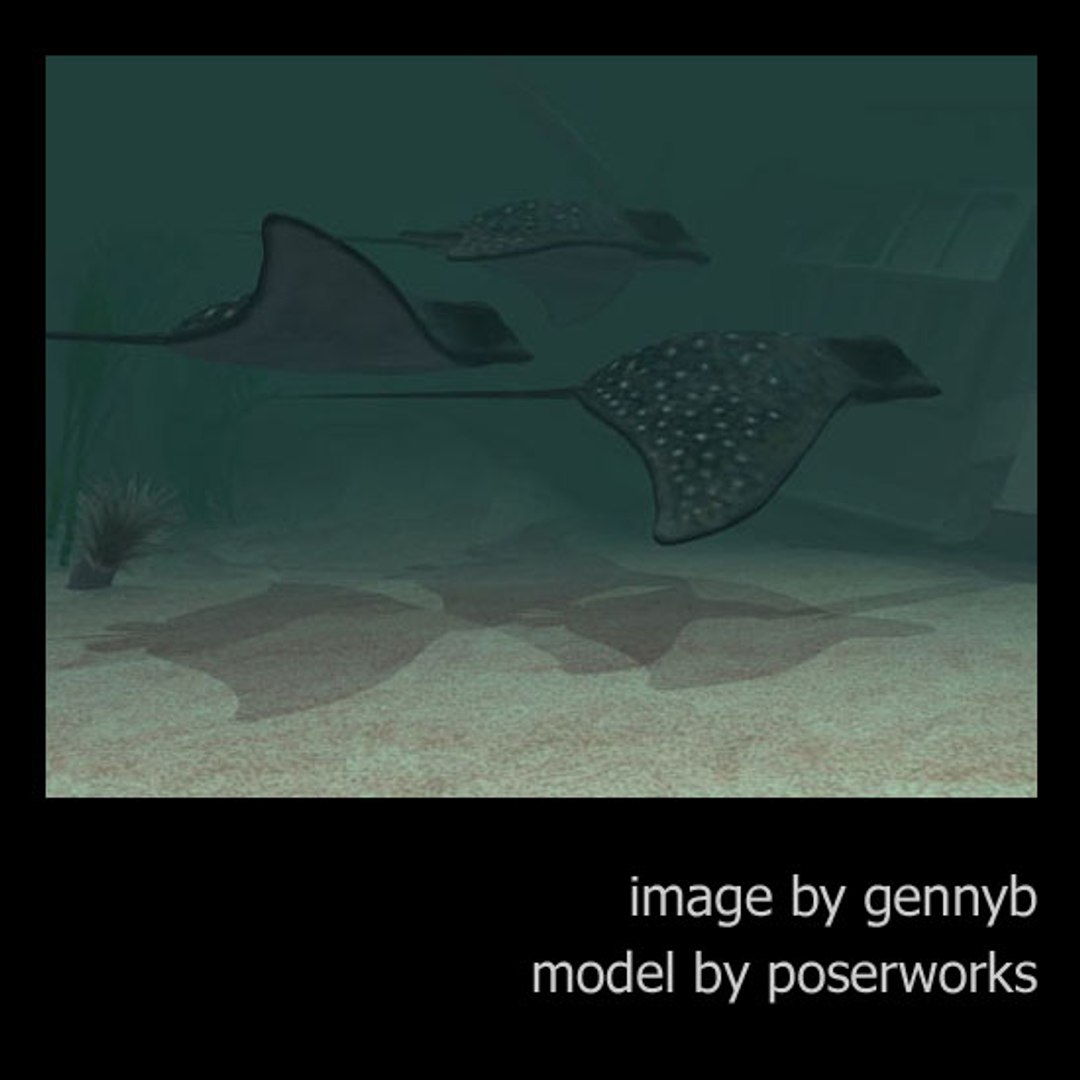 Poser Aquatic Stingray Pzstingray
