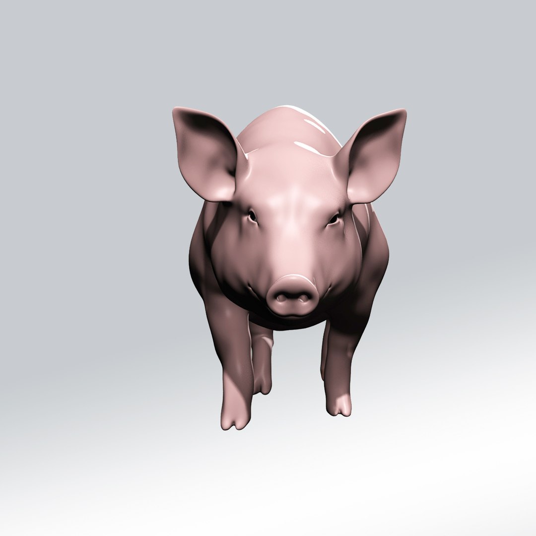 3D Pig Rigged - TurboSquid 1494553