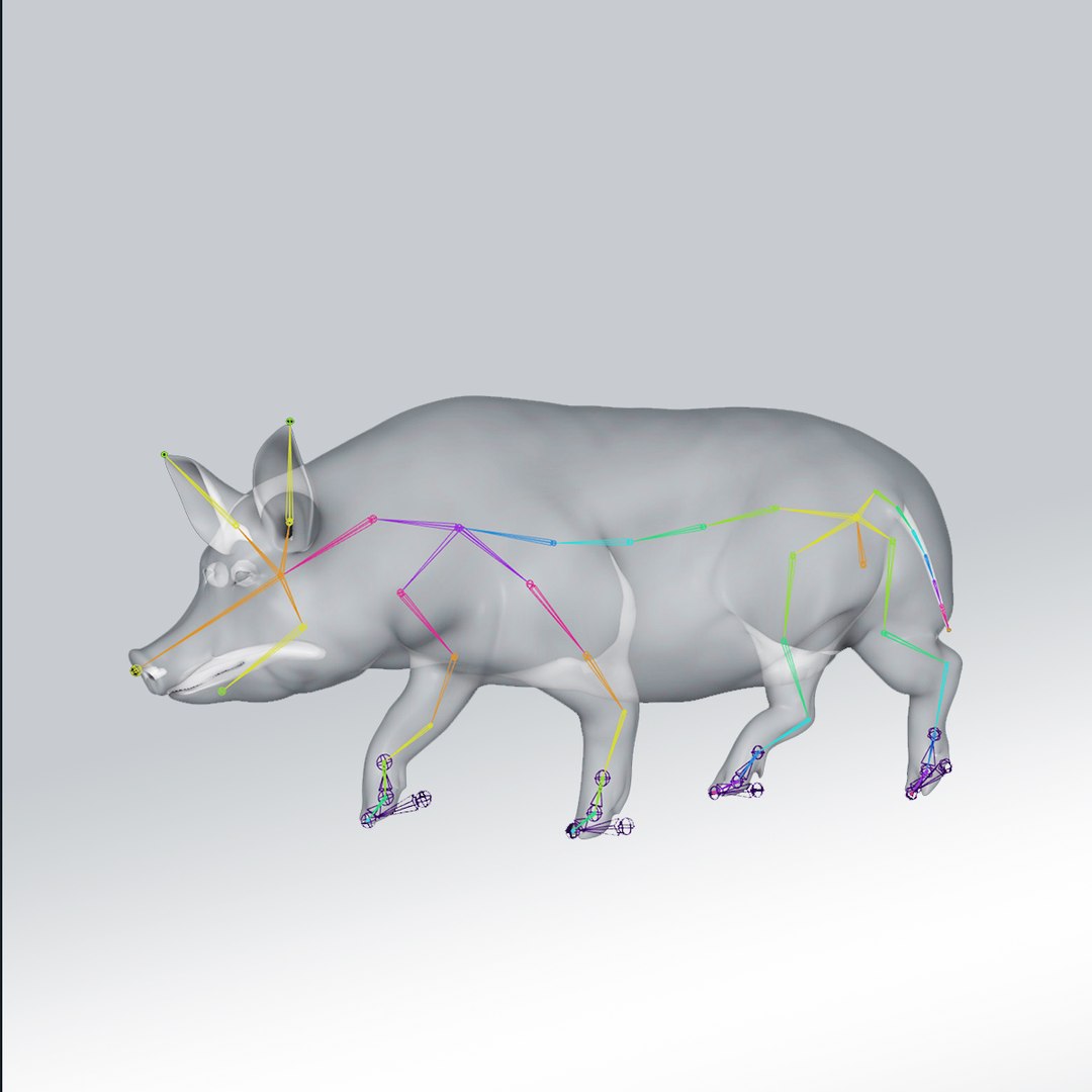 3D Pig Rigged - TurboSquid 1494553