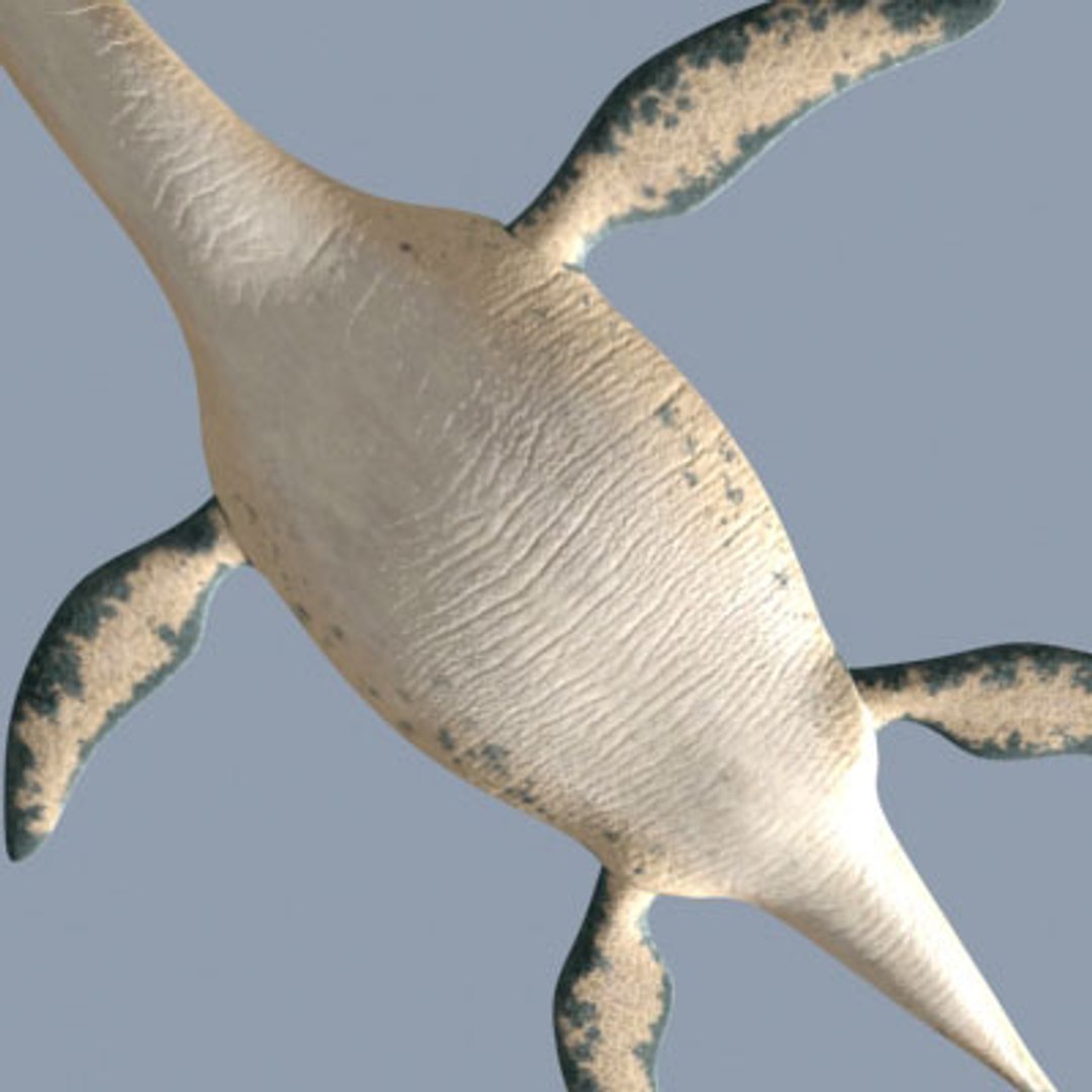 3d Nessie Loch Ness Model