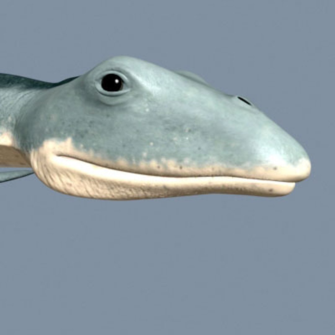 3d Nessie Loch Ness Model