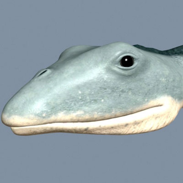 modelo 3d Nessie - TurboSquid 300554