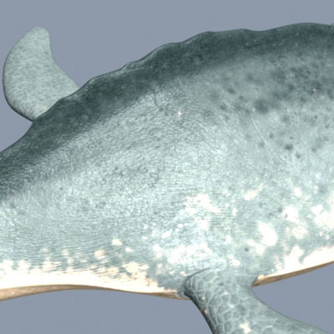 3d Nessie Loch Ness Model