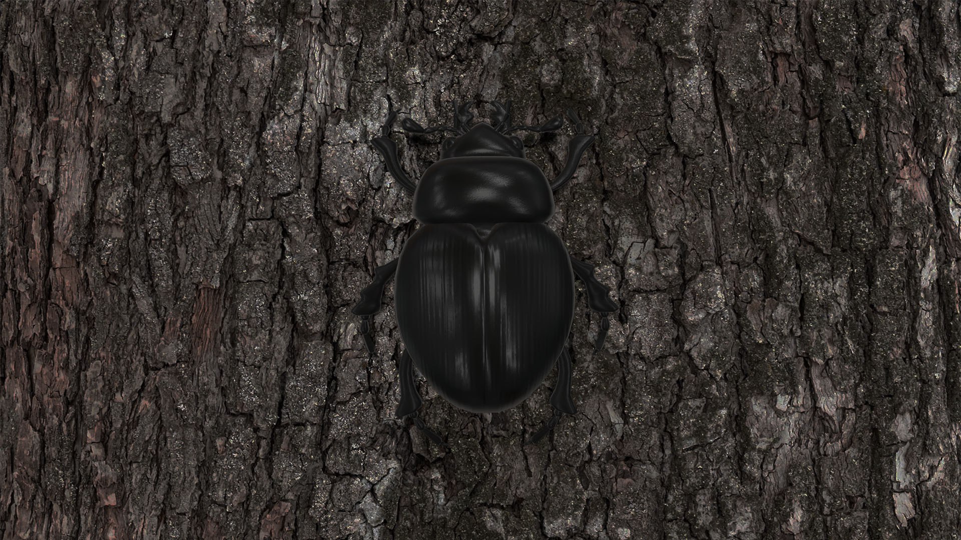 INS-001 Scarab 3D Model - TurboSquid 2069596