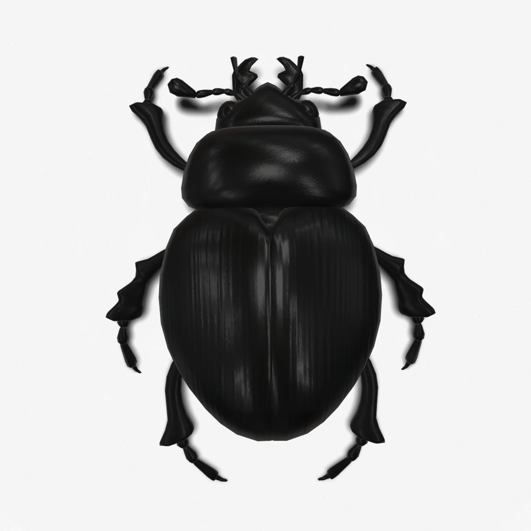 INS-001 Scarab 3D Model - TurboSquid 2069596