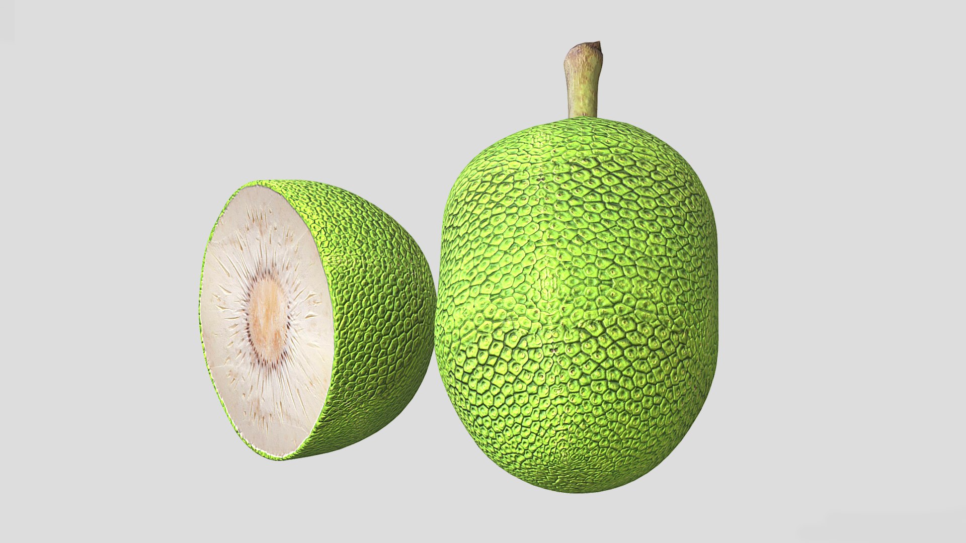 3D Fruit Breadfruit Low Poly Model - TurboSquid 2317750