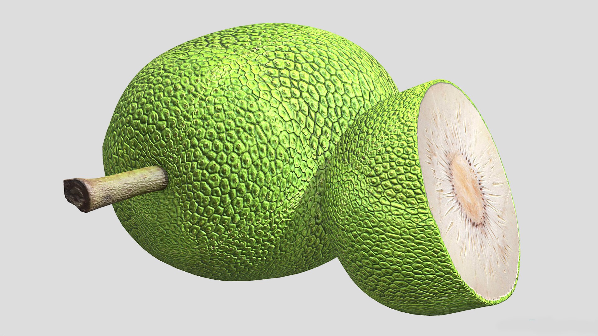3D Fruit Breadfruit Low Poly Model - TurboSquid 2317750