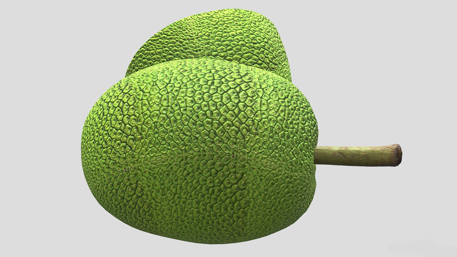 3D Fruit Breadfruit Low Poly Model - TurboSquid 2317750