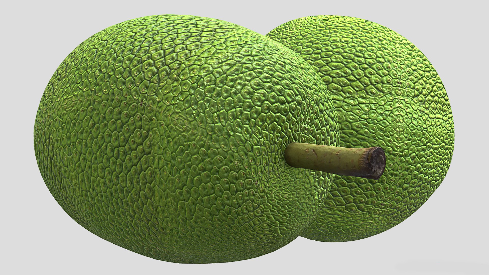 3D Fruit Breadfruit Low Poly Model - TurboSquid 2317750